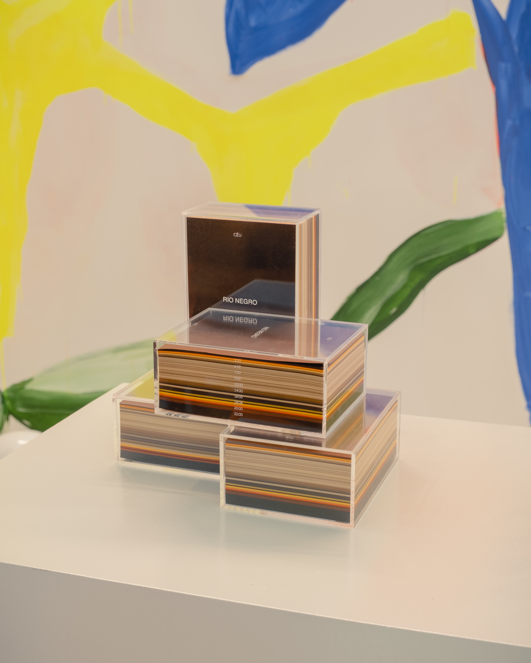 Bloco Rio Negro – Amarello Loja